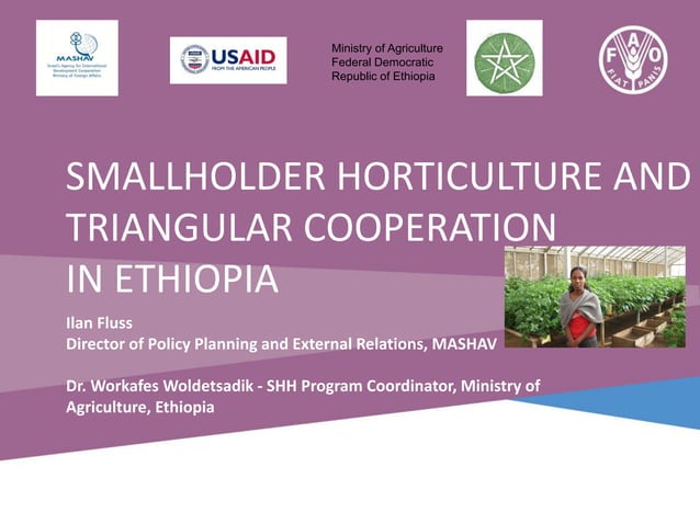 Fao smallholder horticulture and triangular cooperation in ethiopia | PDF