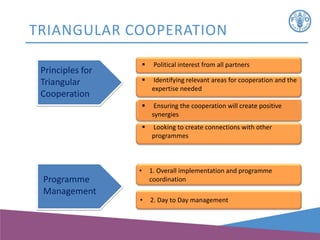 Fao smallholder horticulture and triangular cooperation in ethiopia | PDF