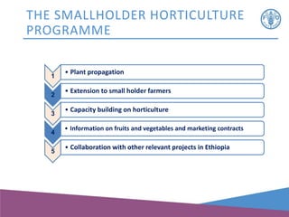 Fao smallholder horticulture and triangular cooperation in ethiopia | PDF