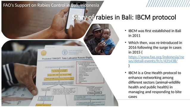 FAO's Support Rabies Control in Bali_Jul22.pptx