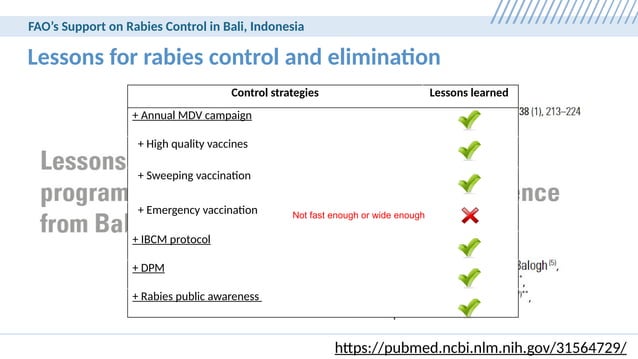 FAO's Support Rabies Control in Bali_Jul22.pptx