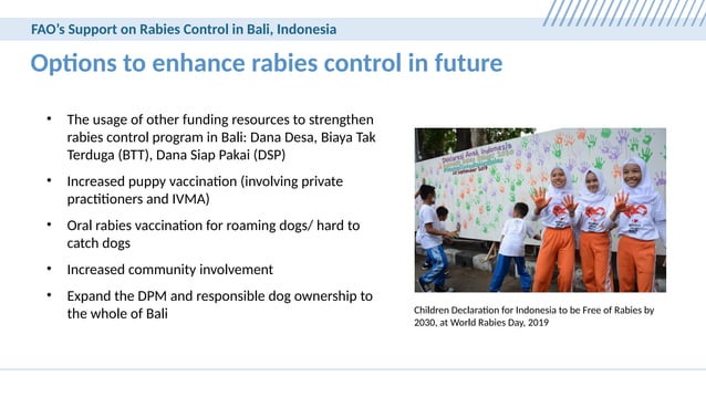 FAO's Support Rabies Control in Bali_Jul22.pptx