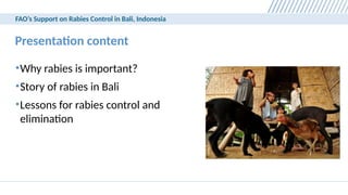 FAO's Support Rabies Control in Bali_Jul22.pptx