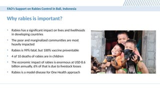 FAO's Support Rabies Control in Bali_Jul22.pptx