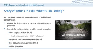 FAO's Support Rabies Control in Bali_Jul22.pptx