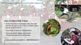 FAO's Support Rabies Control in Bali_Jul22.pptx