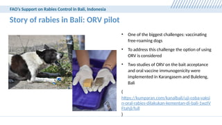 FAO's Support Rabies Control in Bali_Jul22.pptx