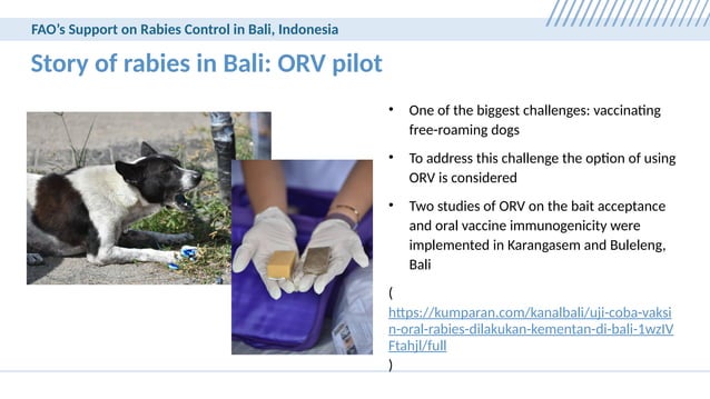 FAO's Support Rabies Control in Bali_Jul22.pptx