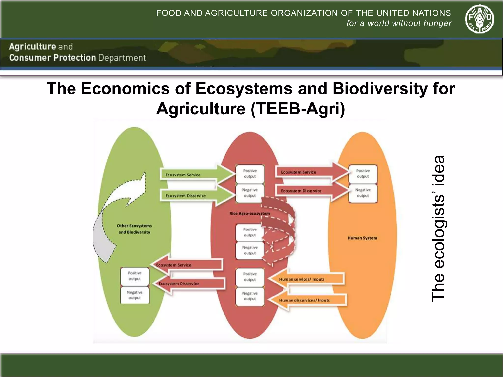 Agroecology for Food Security and Nutrition | PPTX