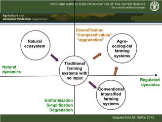 Agroecology for Food Security and Nutrition | PPTX