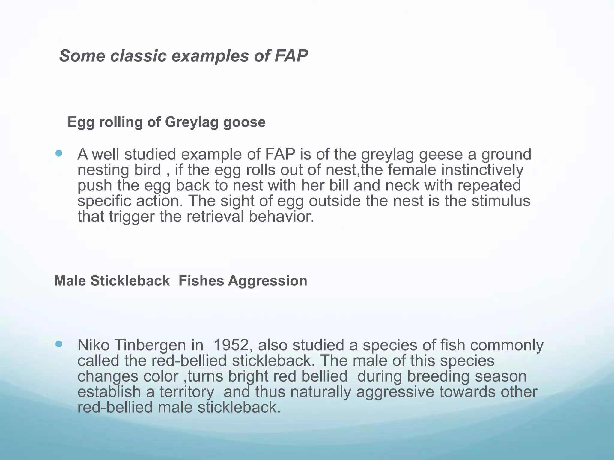 Concepts of Ethology | PPTX