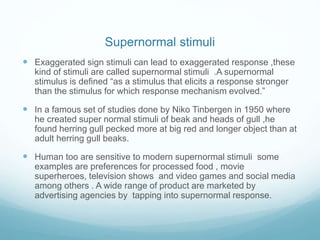 Concepts of Ethology | PPTX