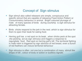 Concepts of Ethology | PPTX