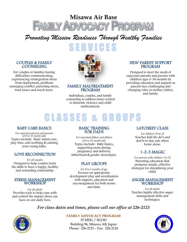 Misawa Family Advocacy Programs | PDF