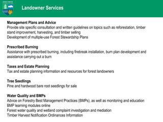 Forest Action Plan | PPT | Agriculture | Industries