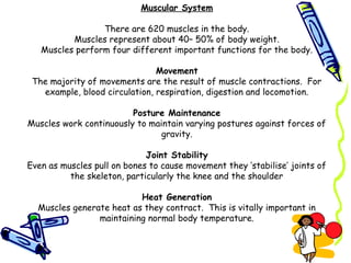FA&P Muscles and Nerves | PPT