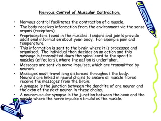 FA&P Muscles and Nerves | PPT