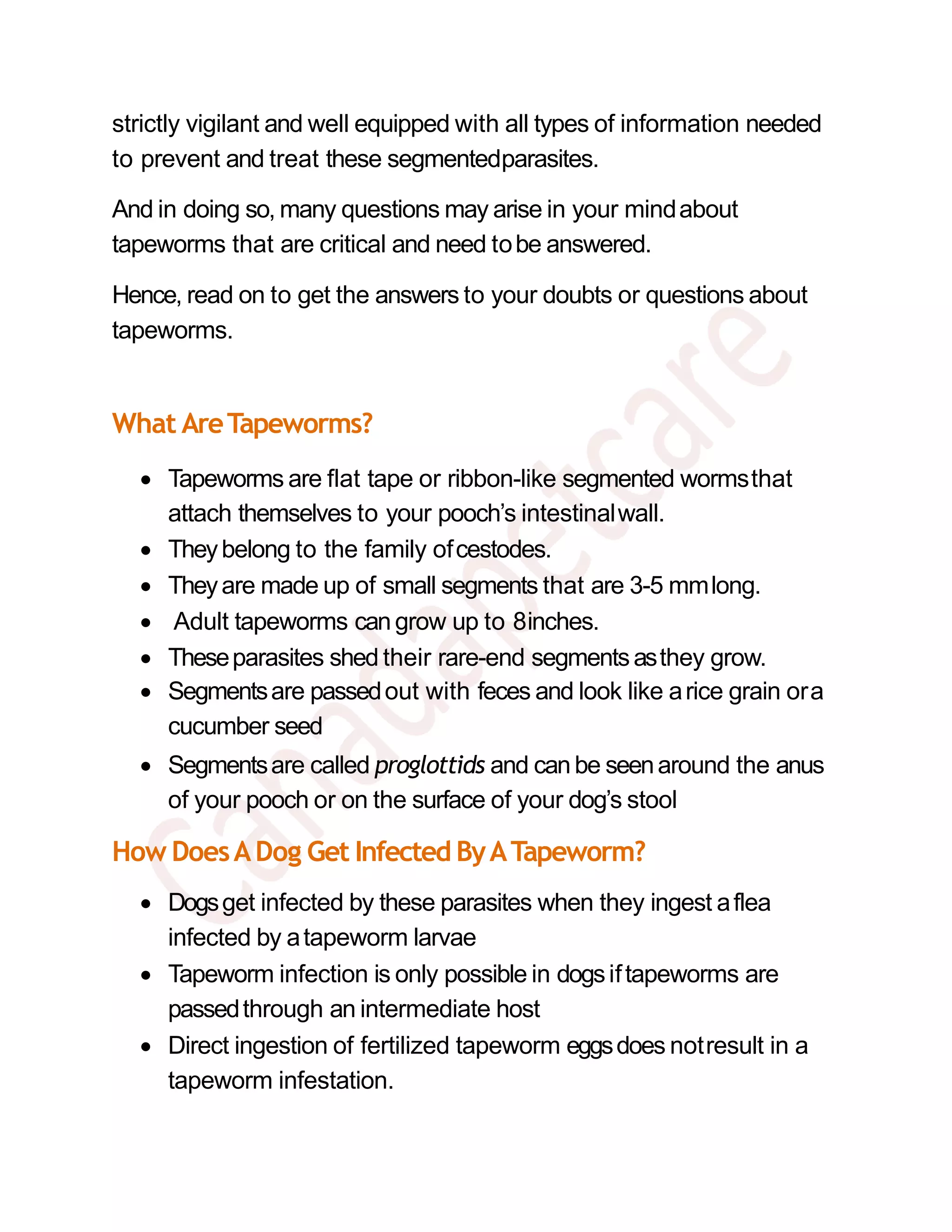 Faqs about tapeworms in dogs | PPTX