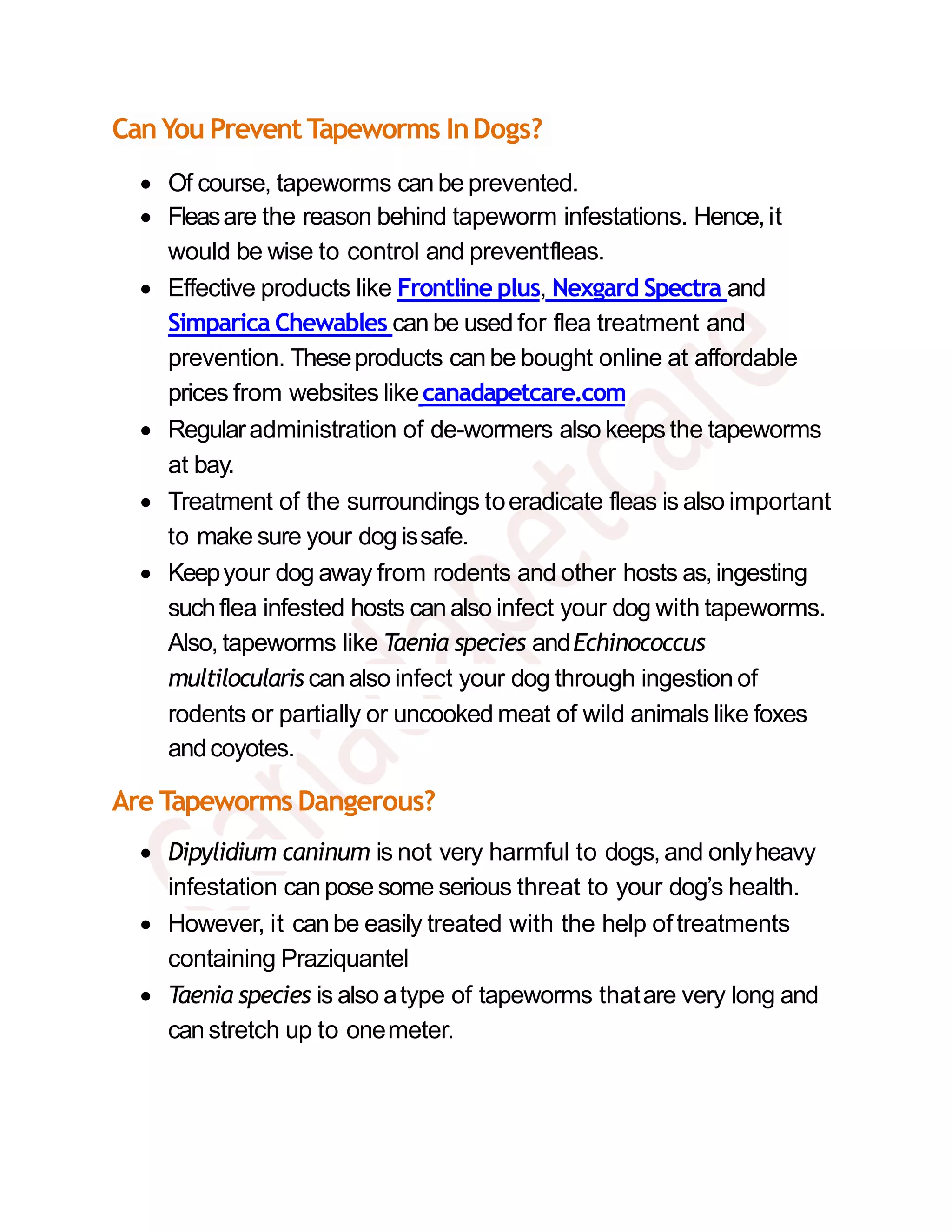 Faqs about tapeworms in dogs | PPTX