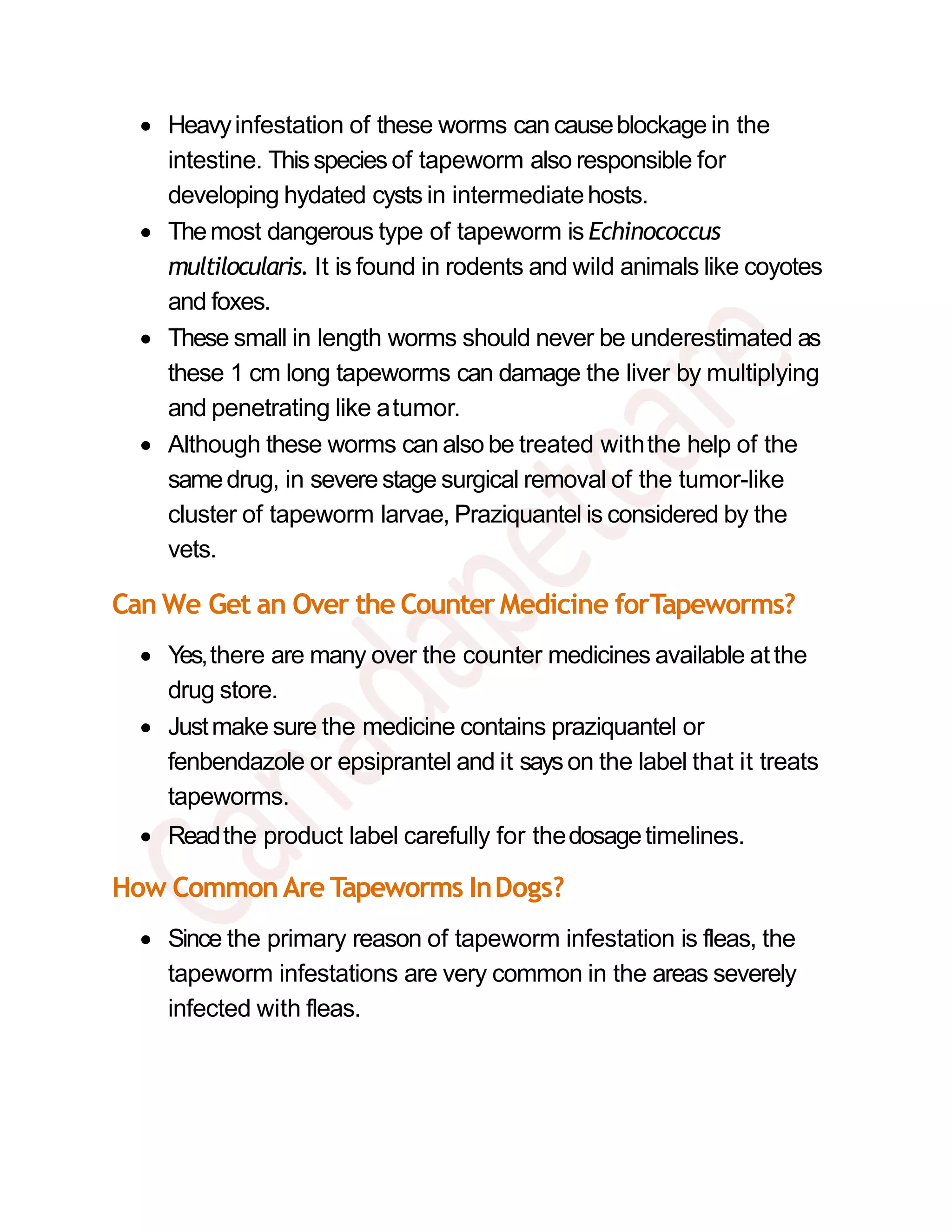 Faqs about tapeworms in dogs | PPTX