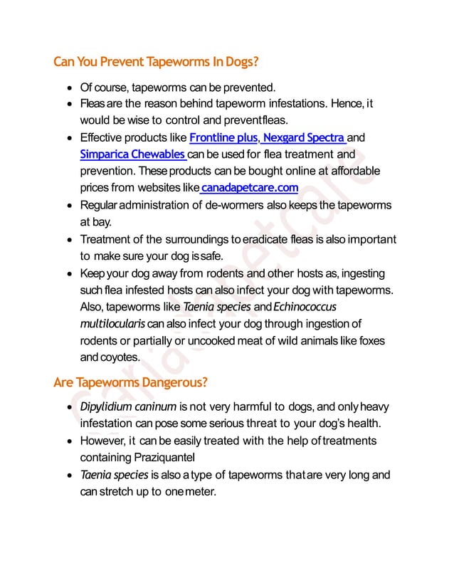 Faqs about tapeworms in dogs | PDF