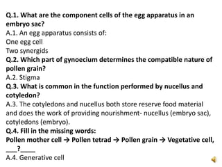 FAQs on Sexual Reproduction in Flowering Plants | PPT