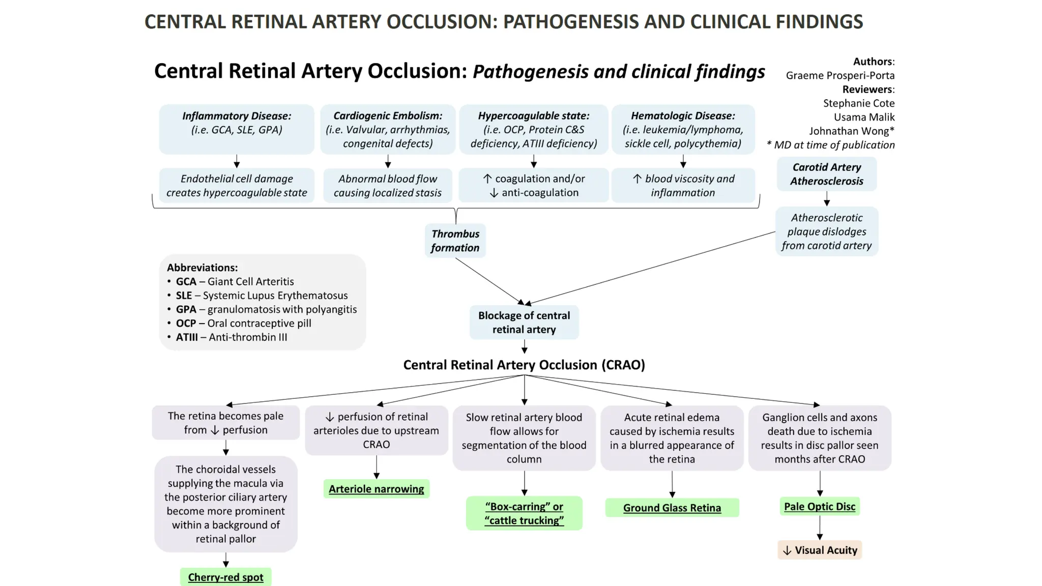 DIAGNOSIS AND MANAGEMENT CENTRAL RETINA L ARTERY OCCLUSION | PDF