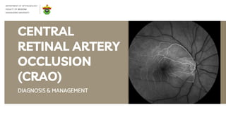 DIAGNOSIS AND MANAGEMENT CENTRAL RETINA L ARTERY OCCLUSION | PDF