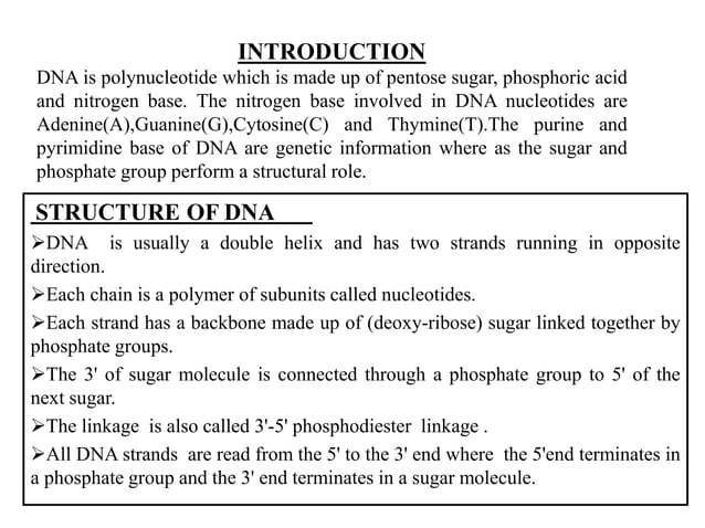 DNA structure and function,watson and crick model of DNA helix ...