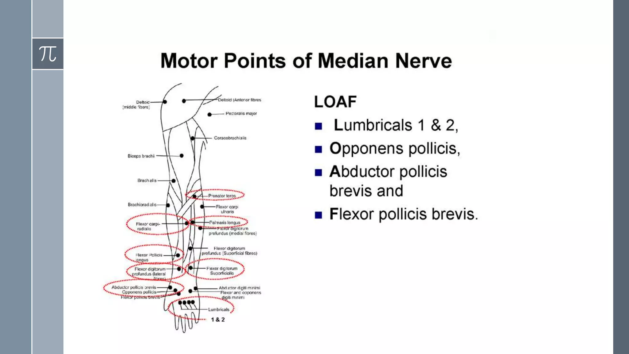 Faradic Current Pptx
