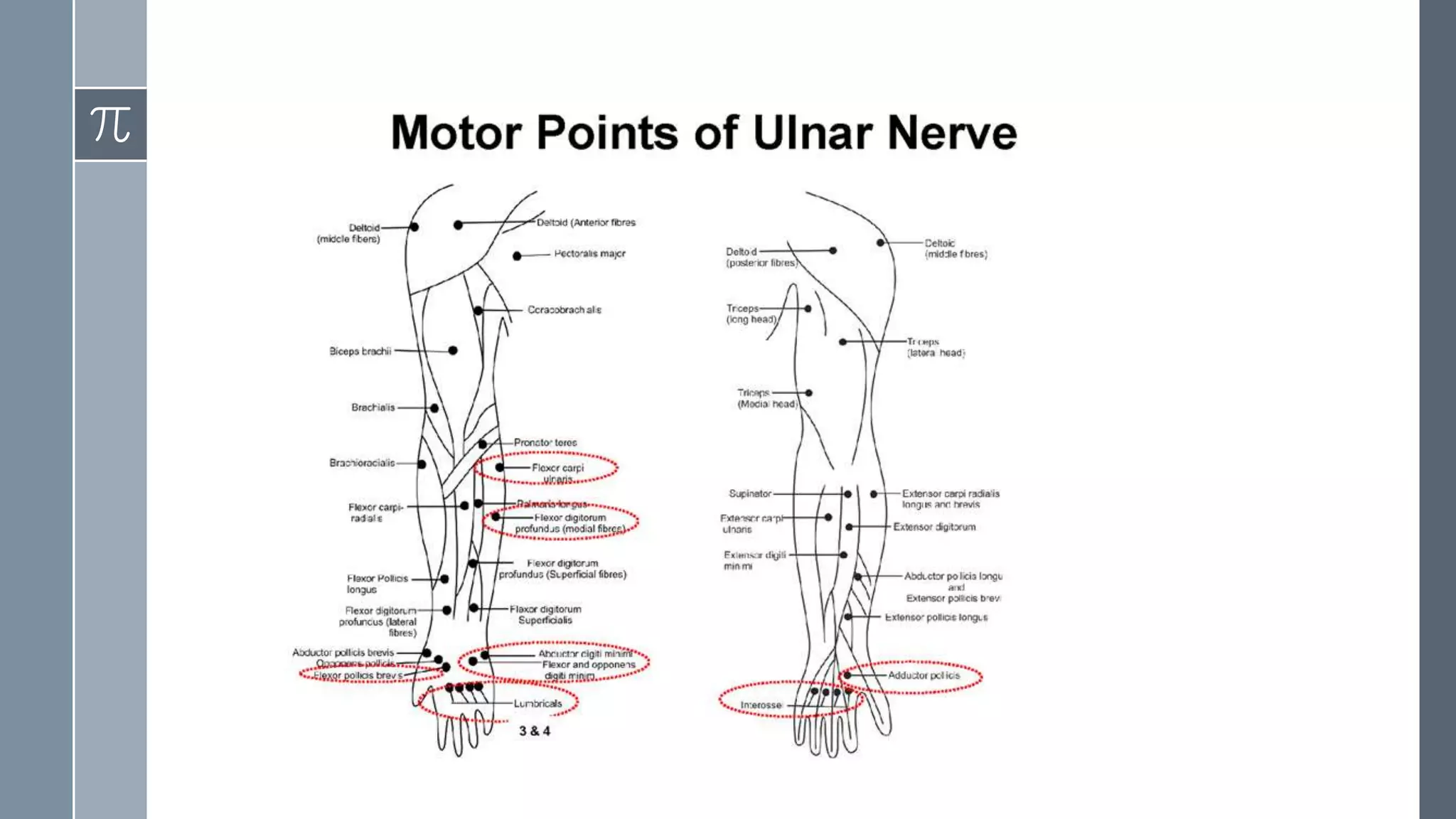 Faradic current | PPTX
