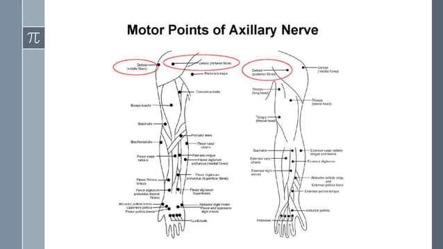 Faradic current | PPTX