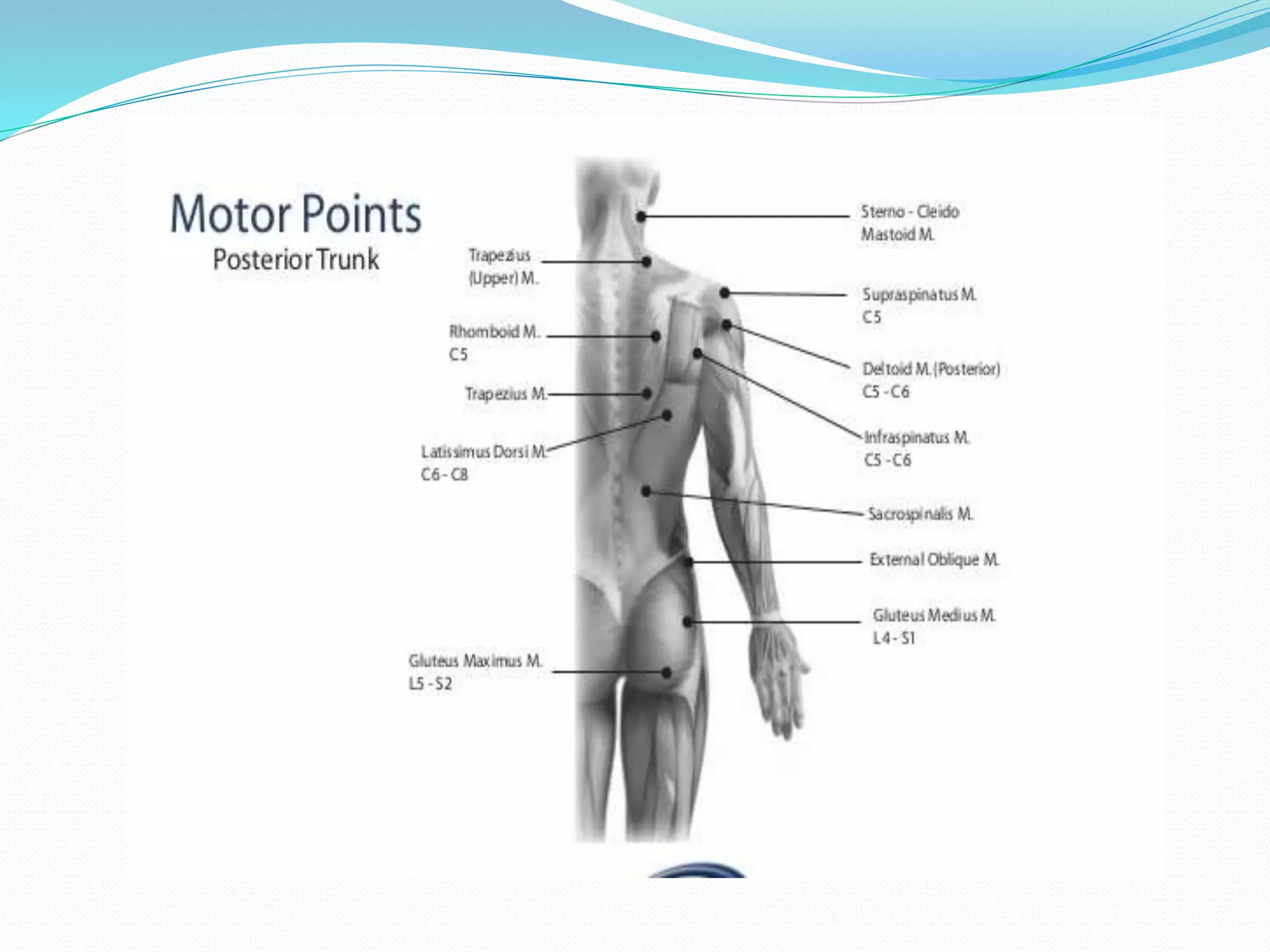 FARADIC CURRENT.pptx