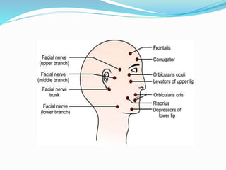 FARADIC CURRENT.pptx