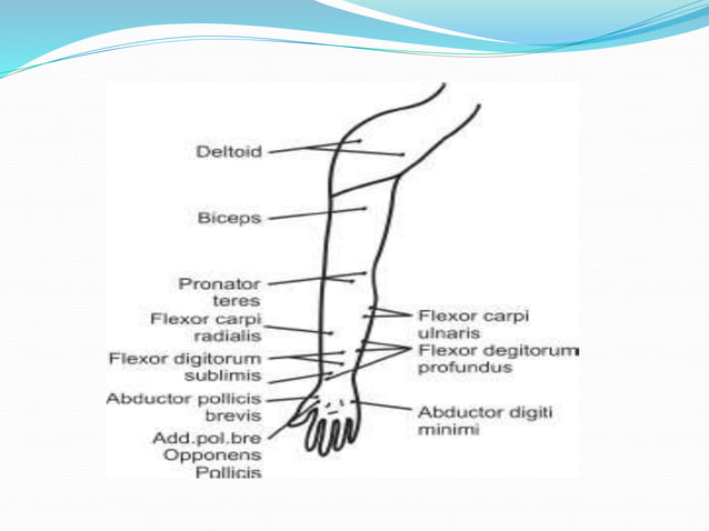 FARADIC CURRENT.pptx
