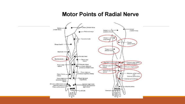 Faradic current.pptx | Physical Therapy | Wellness