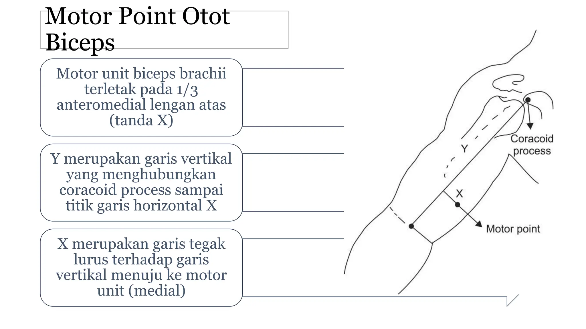 Materi Pembelajaran Fisioterapi Faradic Current | PPTX