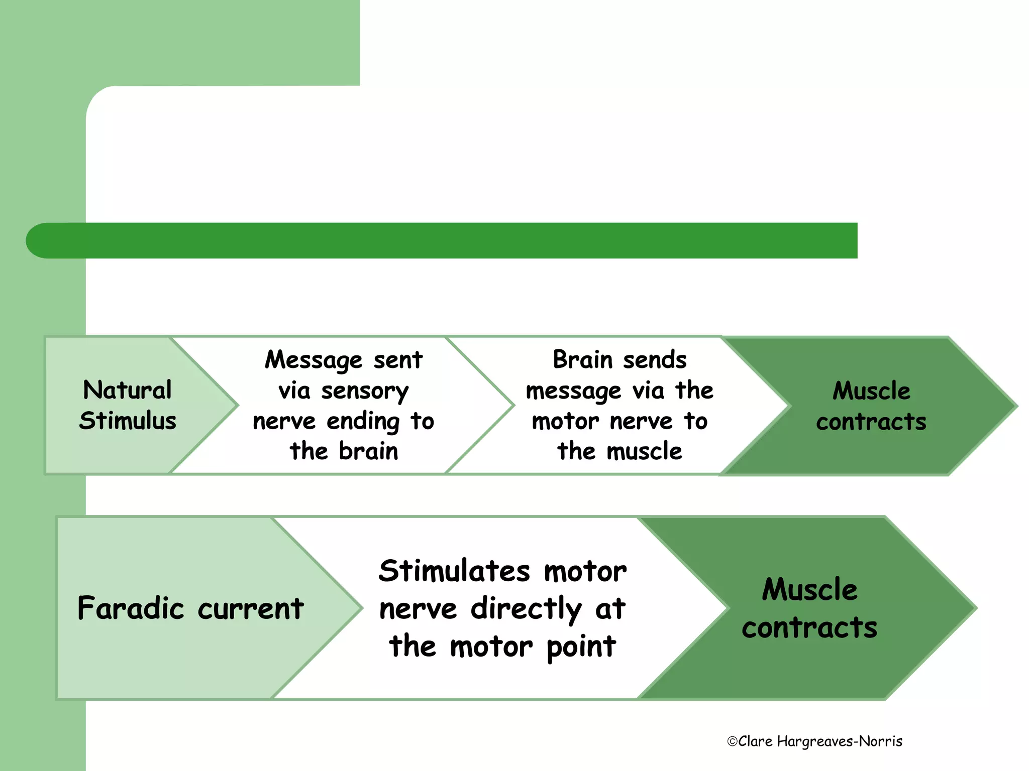 Faradic Facial Treatment | PPTX