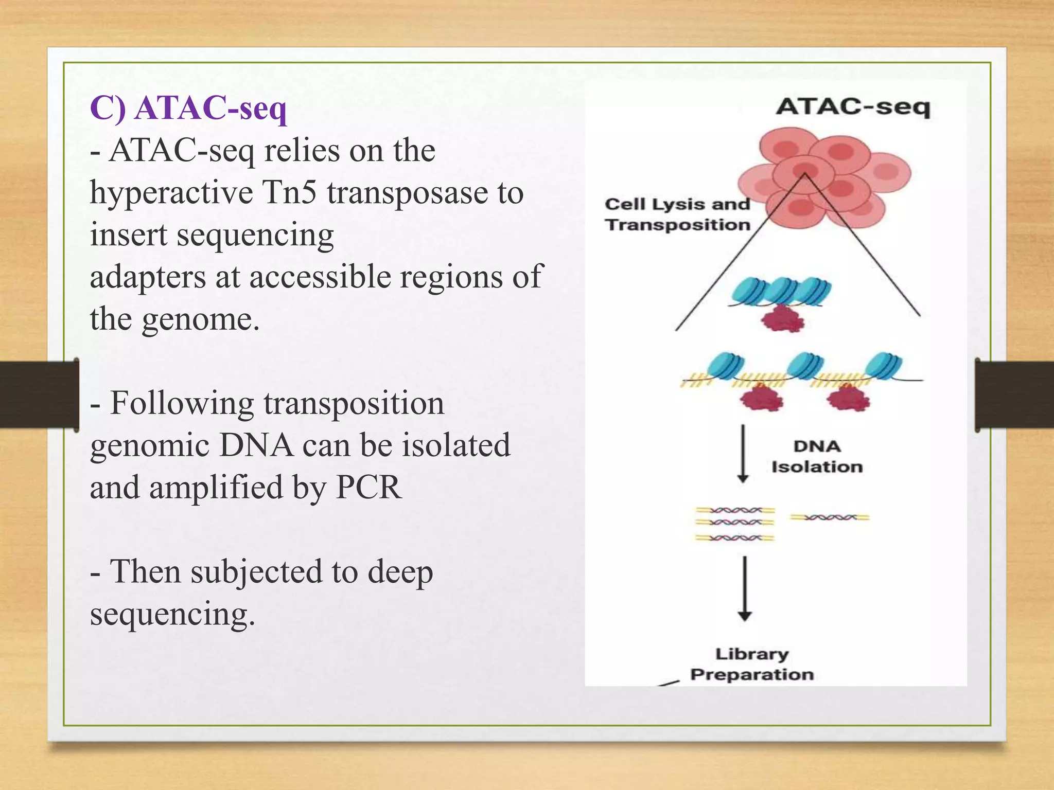 functional genomics.ppt