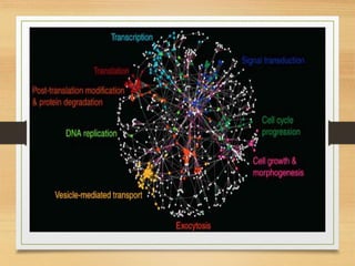 functional genomics.ppt