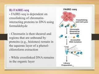 functional genomics.ppt