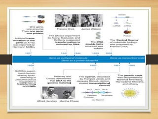 functional genomics.ppt