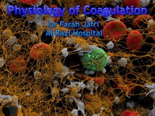 Physiology of Coagulation | PDF