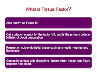 Physiology of Coagulation | PDF