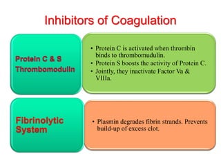 Physiology of Coagulation | PDF