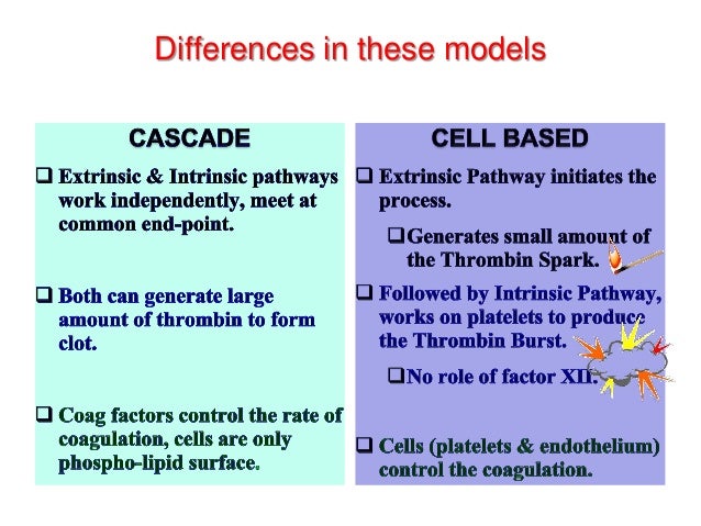 Physiology of Coagulation