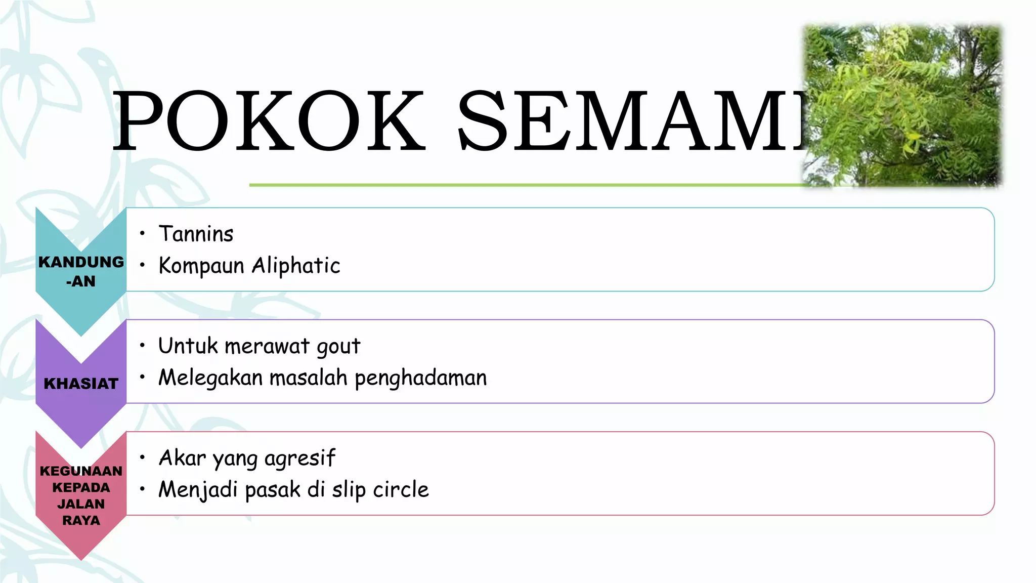 Farah nuralissa binti muhammad | PPTX