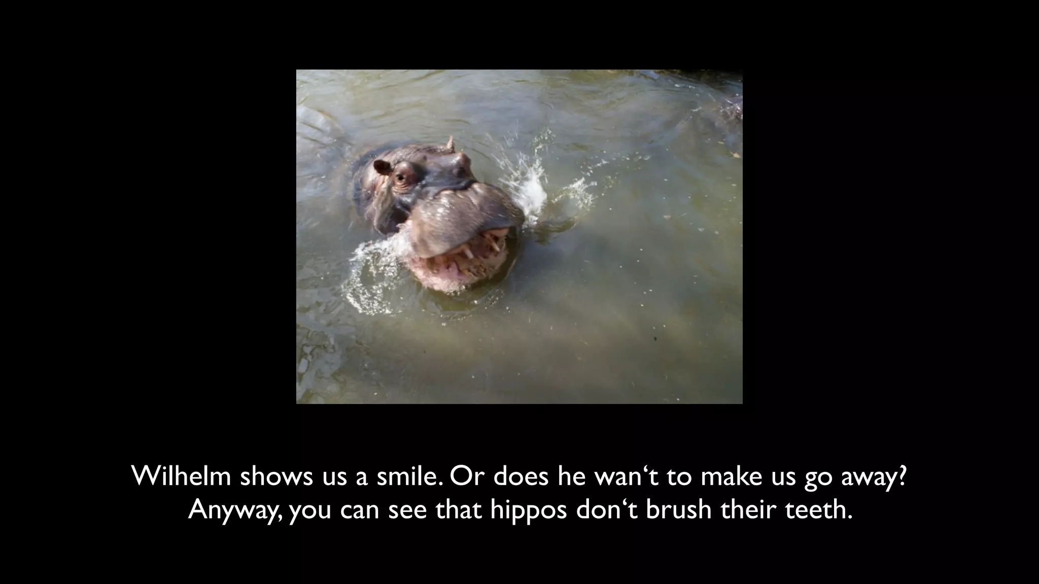 Hippo Boy Farasi Takes A Bath | KEY