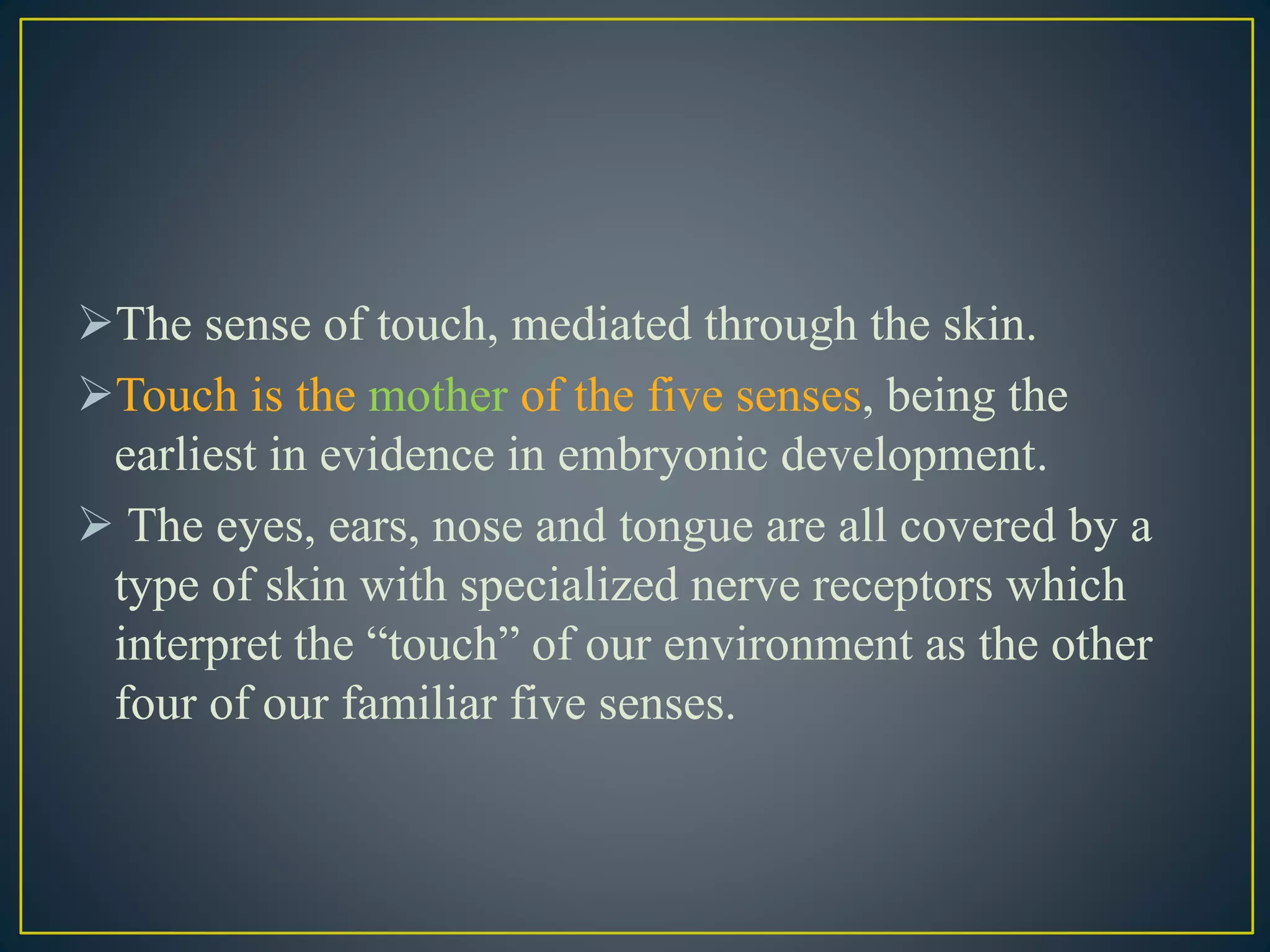 Sense of TOUCH | PPTX