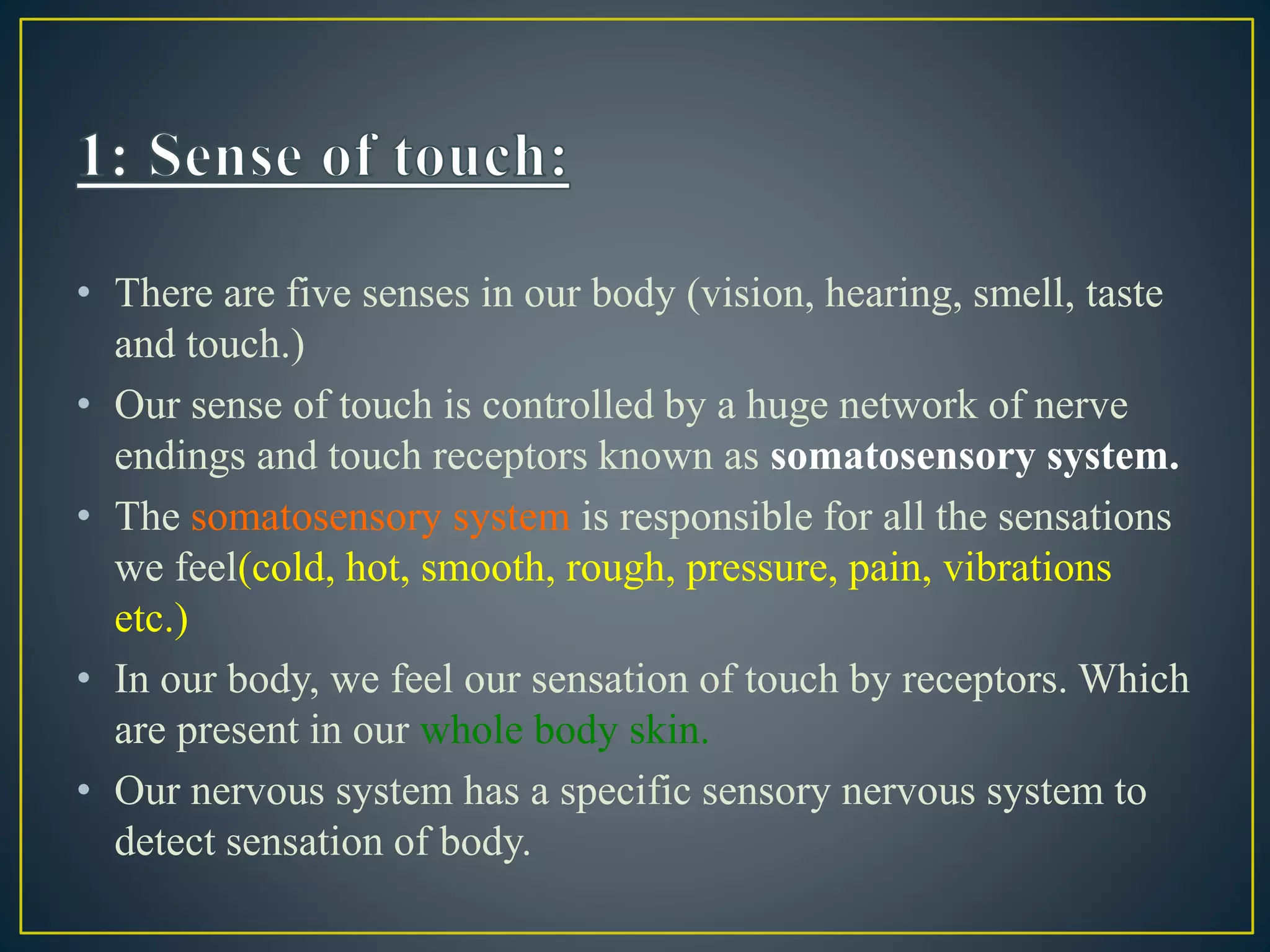 Sense of TOUCH | PPTX | Biological Sciences | Science